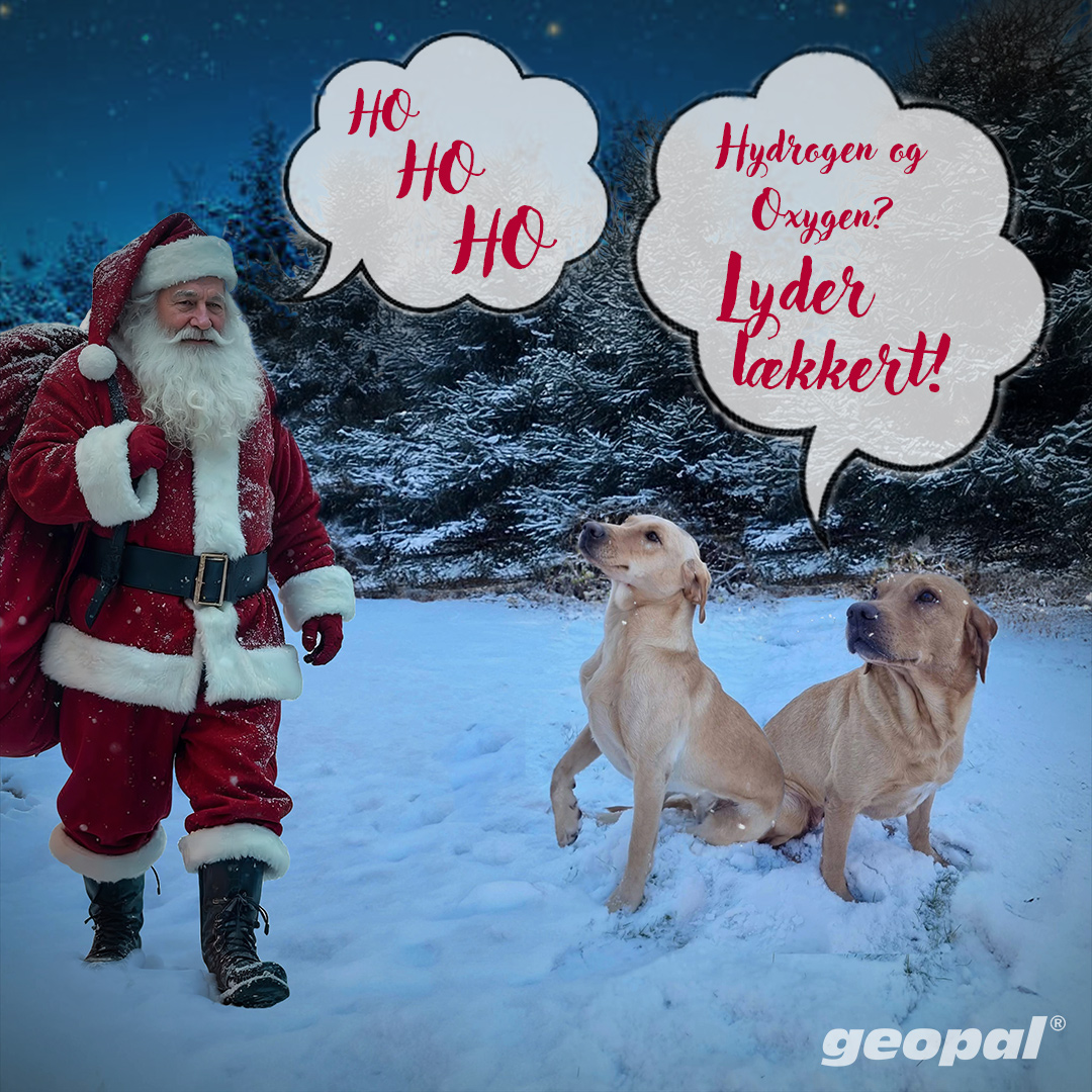God Jul og Godt Nytår! - Geopal